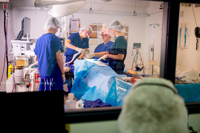 Operating Room Simulation - School of Nursing - University at Buffalo